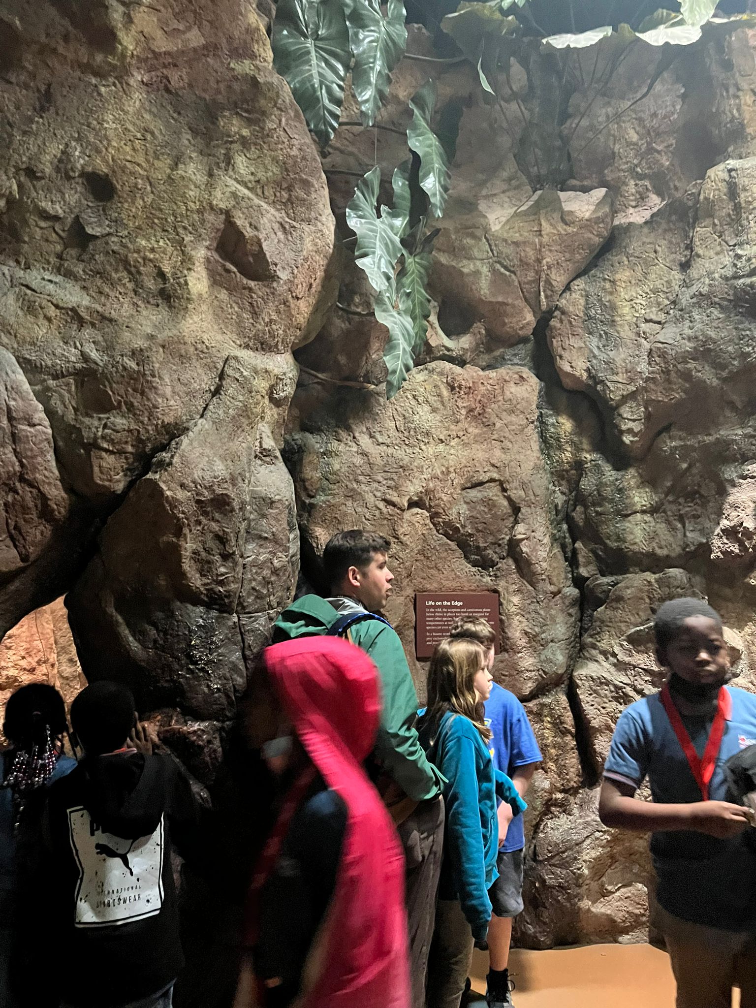 Natural History Museum Field Trip – Harmony Public Schools – Washington DC