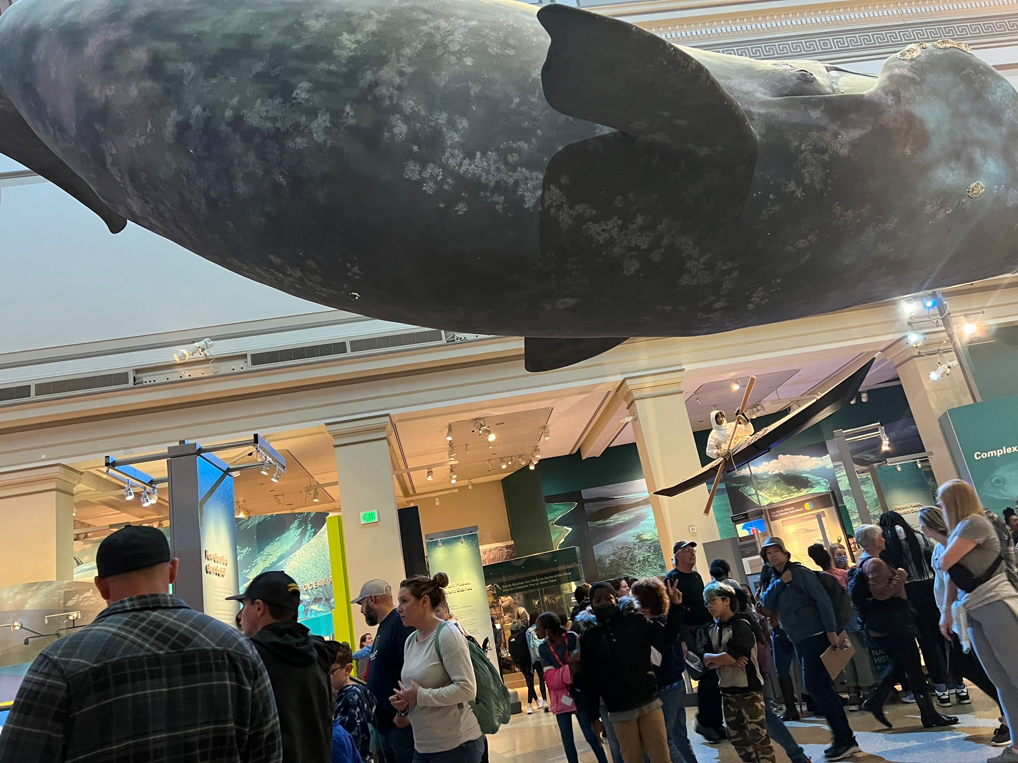 Natural History Museum Field Trip – Harmony Public Schools – Washington DC