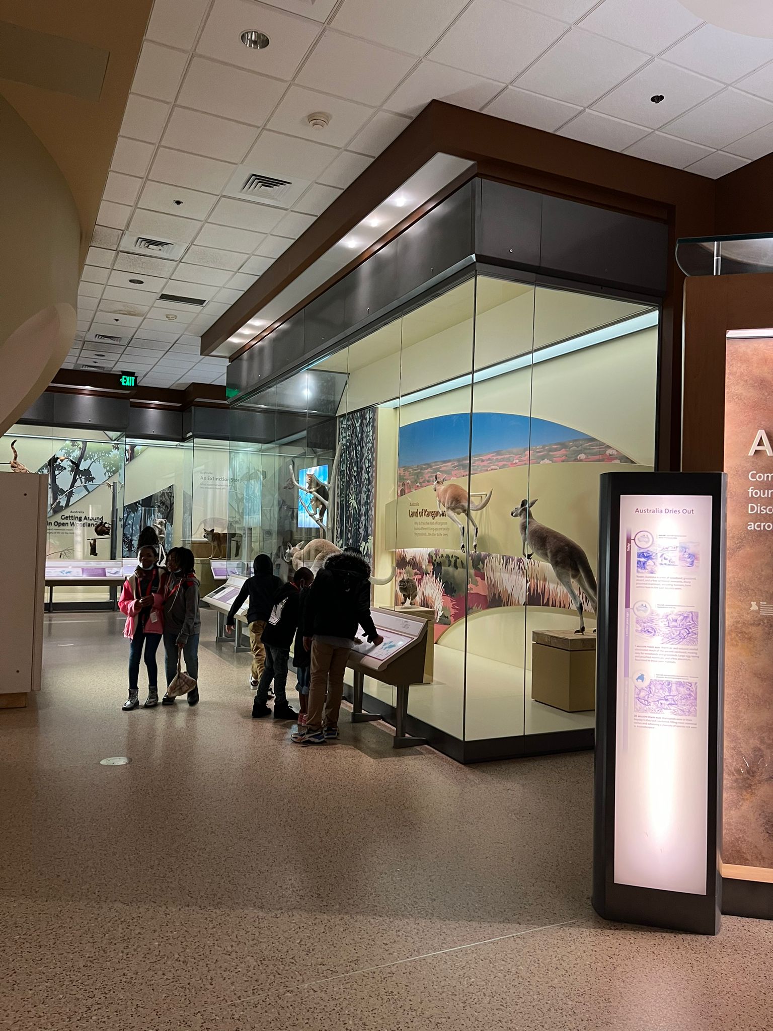 Natural History Museum Field Trip – Harmony Public Schools – Washington DC