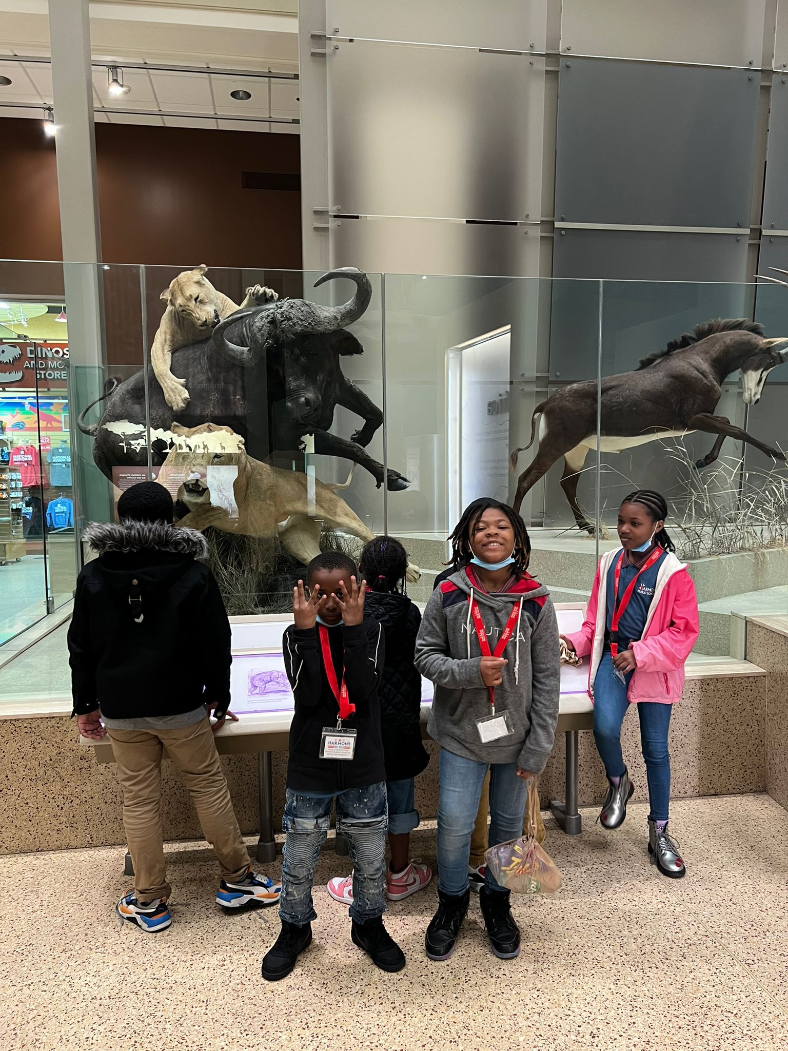 Natural History Museum Field Trip – Harmony Public Schools – Washington DC