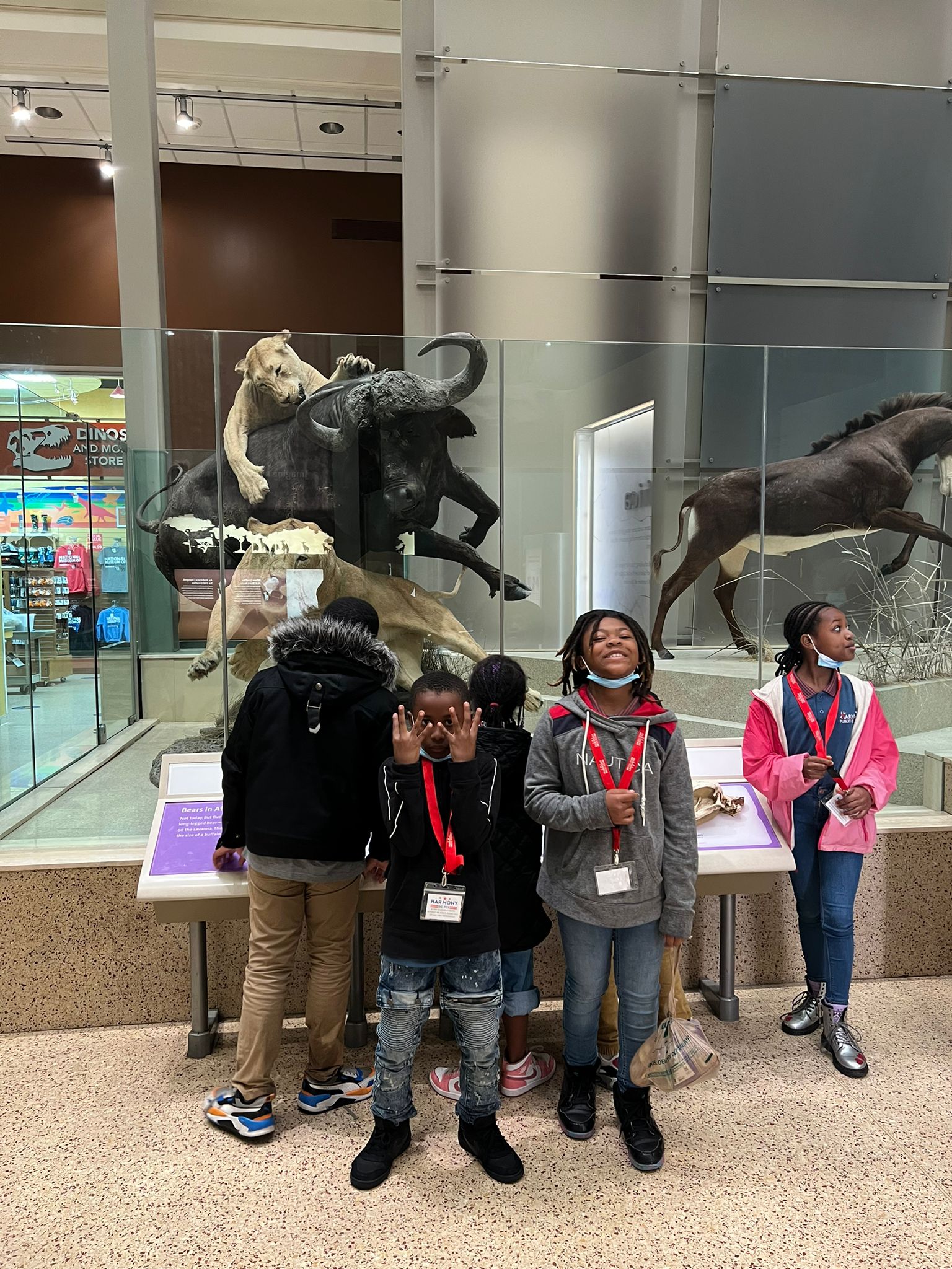 Natural History Museum Field Trip – Harmony Public Schools – Washington DC