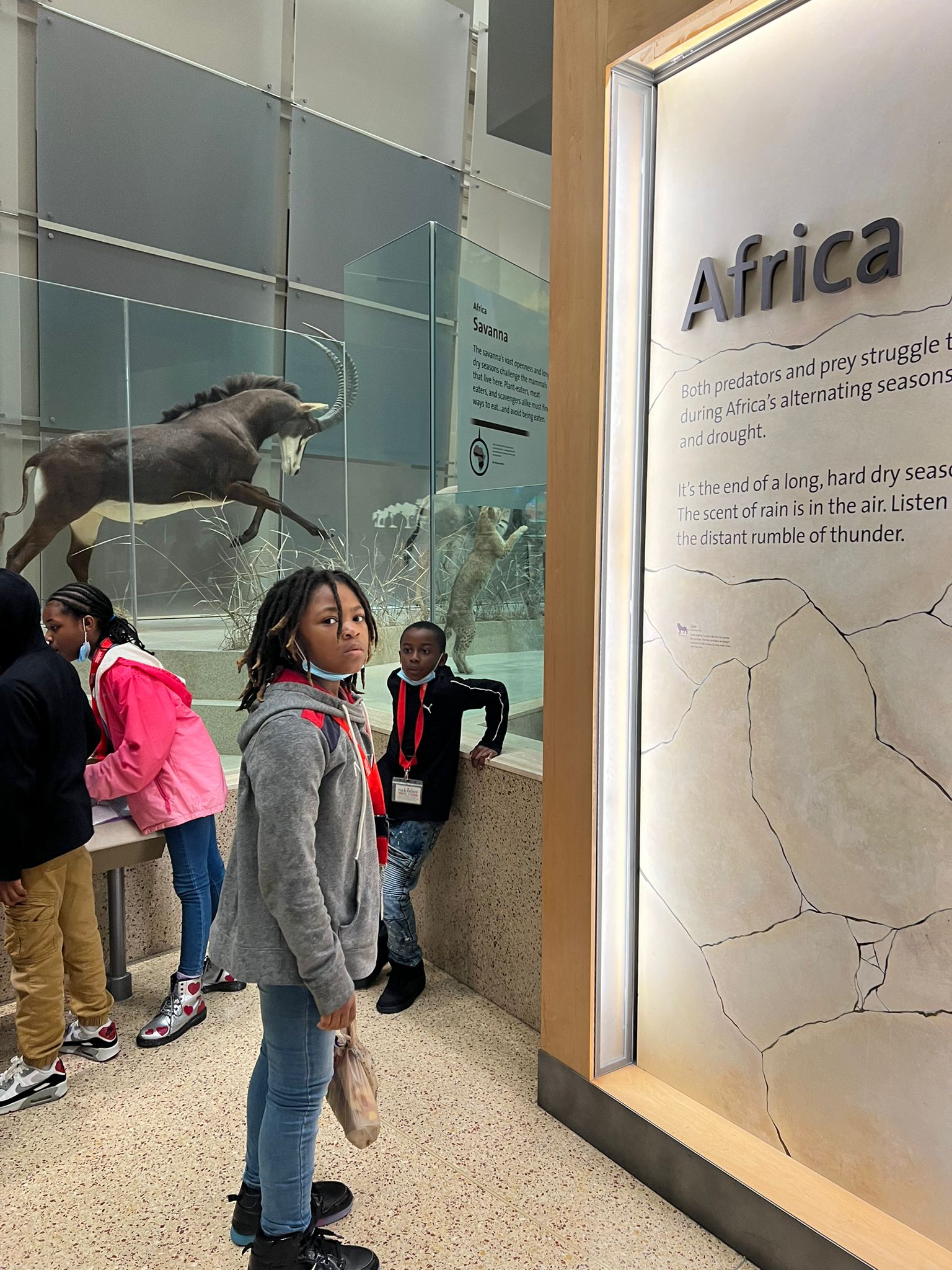 Natural History Museum Field Trip – Harmony Public Schools – Washington DC
