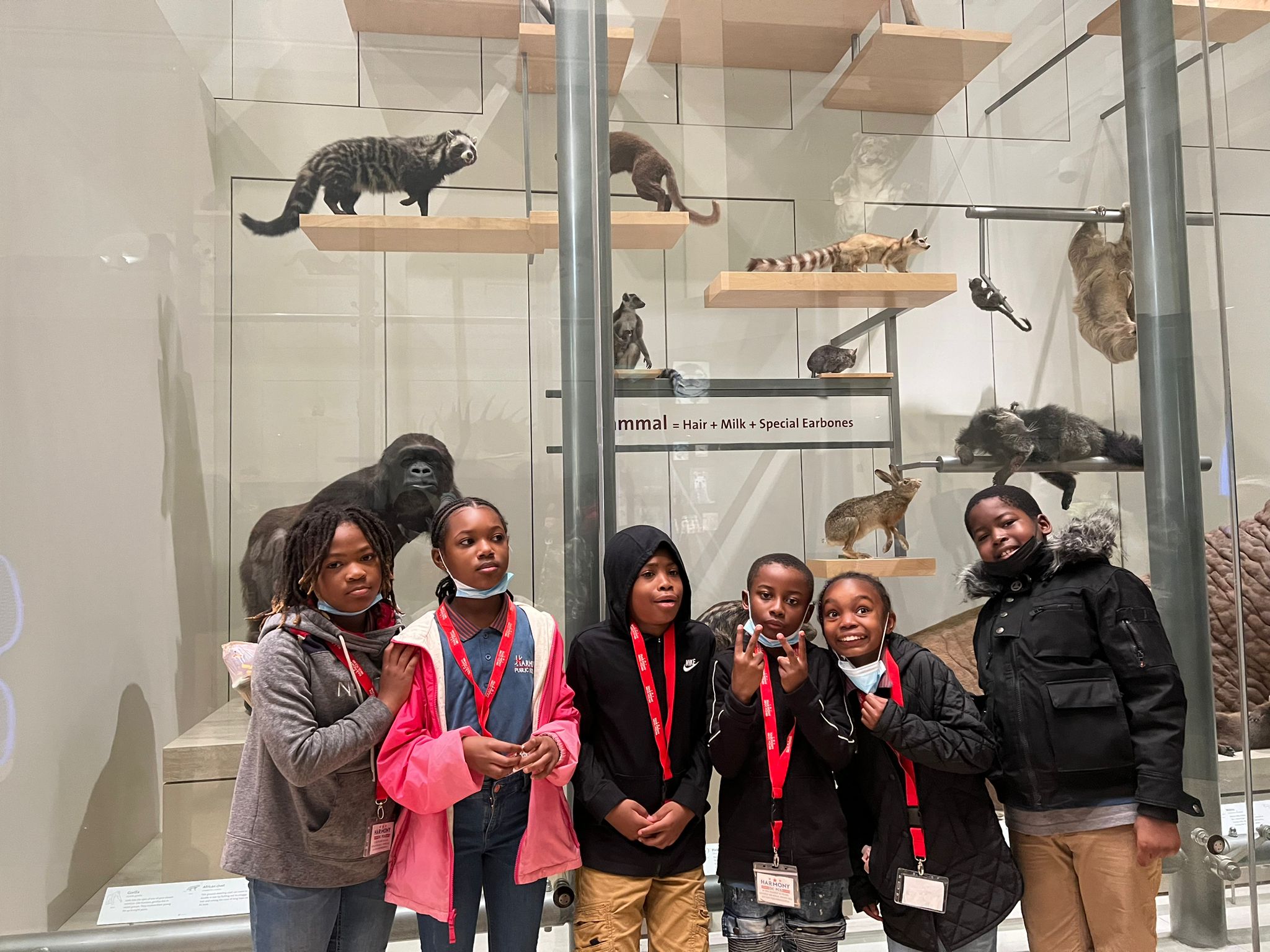 Natural History Museum Field Trip – Harmony Public Schools – Washington DC