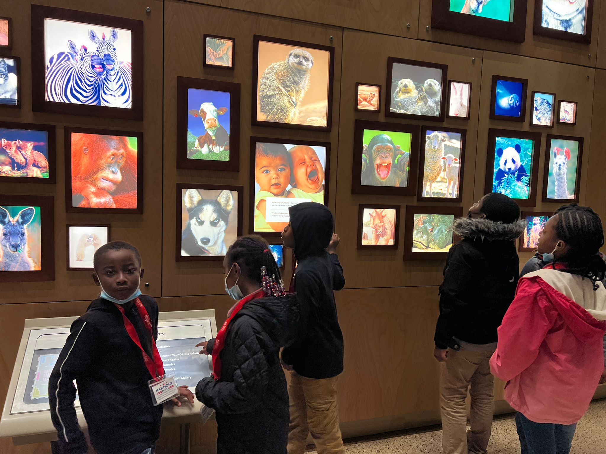 Natural History Museum Field Trip – Harmony Public Schools – Washington DC