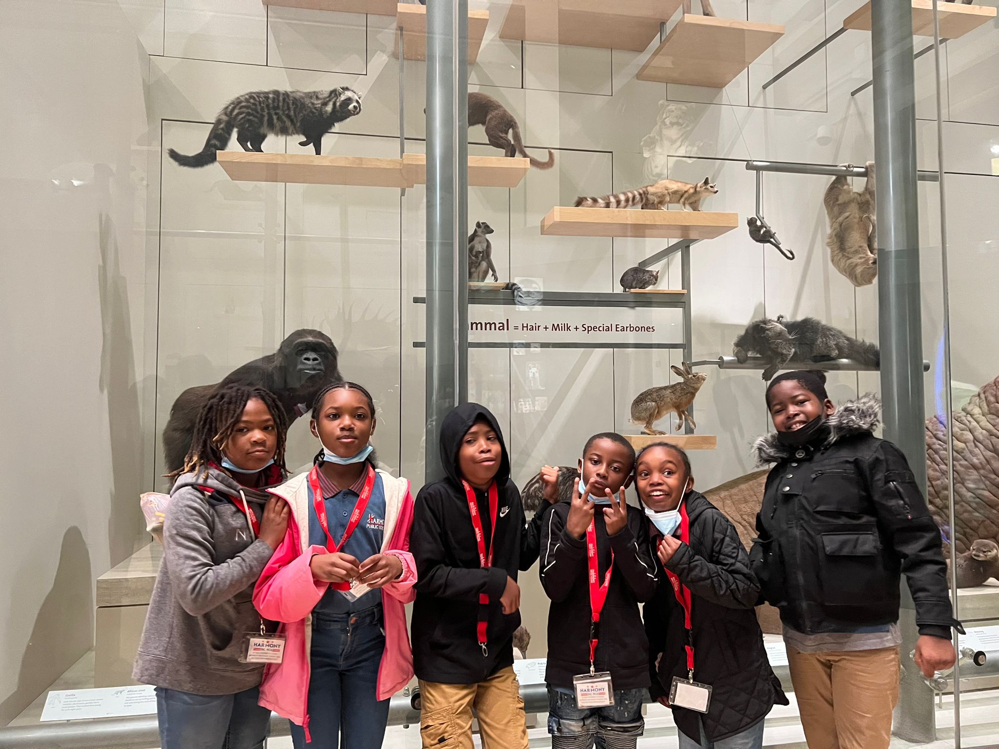 Natural History Museum Field Trip – Harmony Public Schools – Washington DC