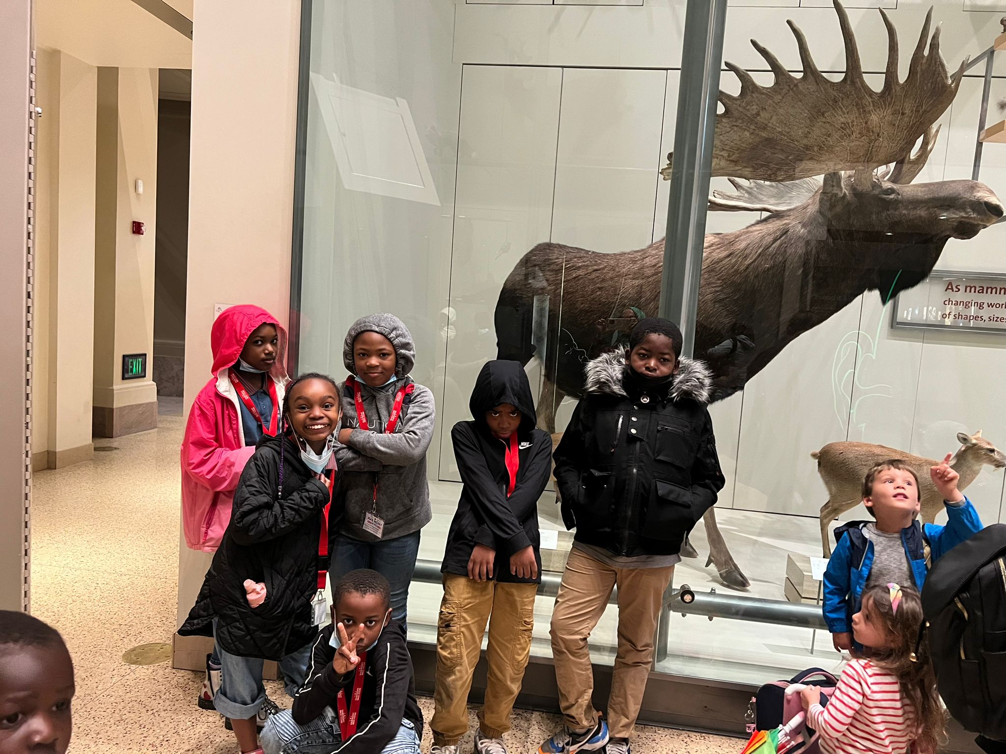 Natural History Museum Field Trip – Harmony Public Schools – Washington DC